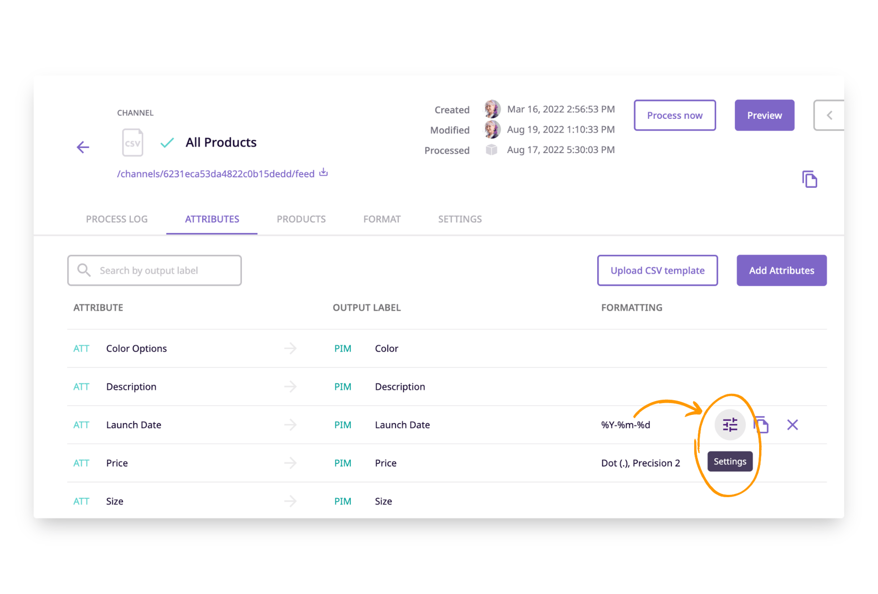 Configuring a Date Attribute