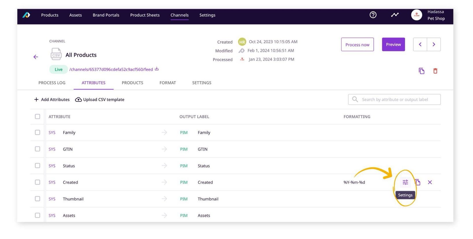 Configuring a Date Attribute