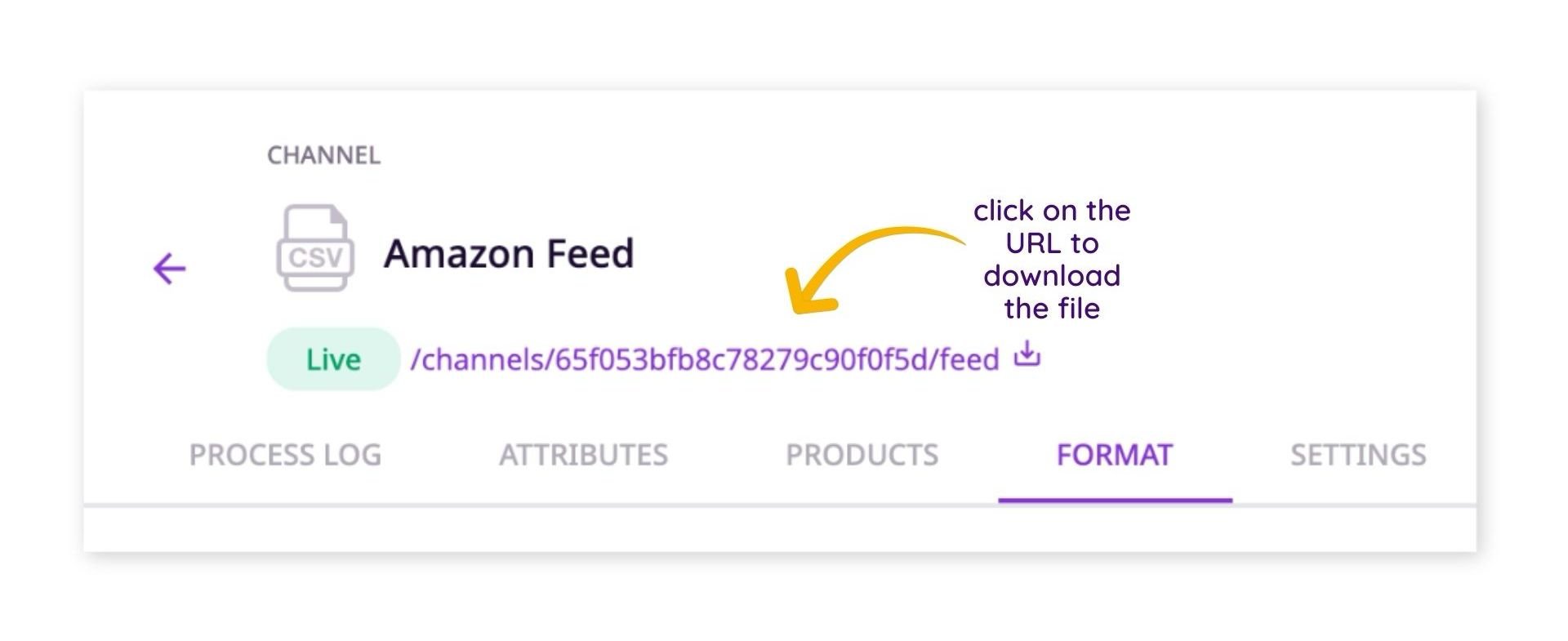 Amazon | Creating a CSV Feed for Amazon Seller Central