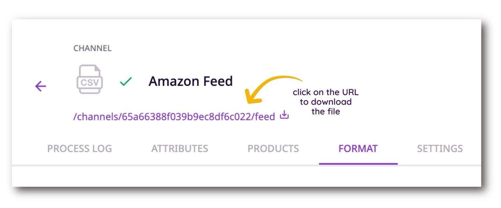 Amazon | Creating a CSV Feed for Amazon Seller Central