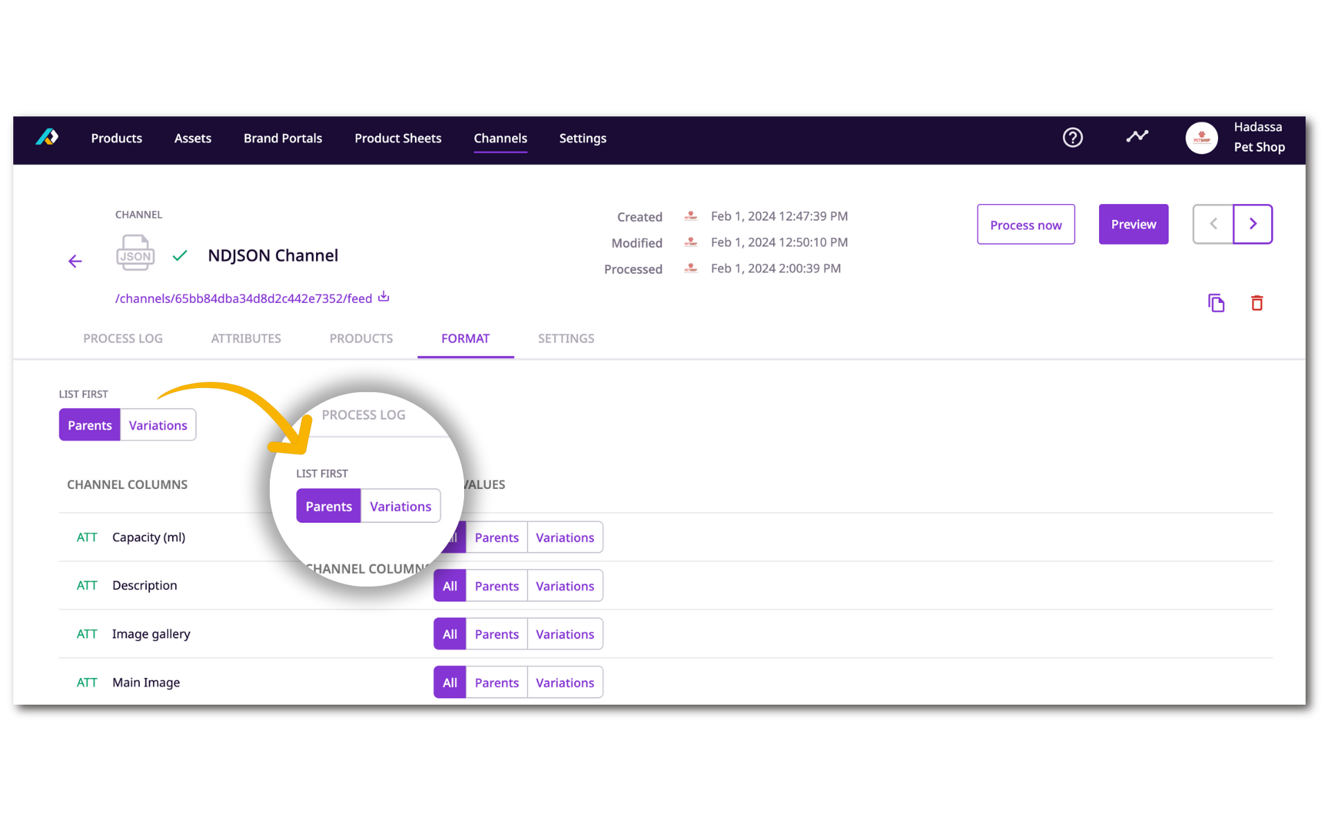 Defining the Format for NDJSON Channels