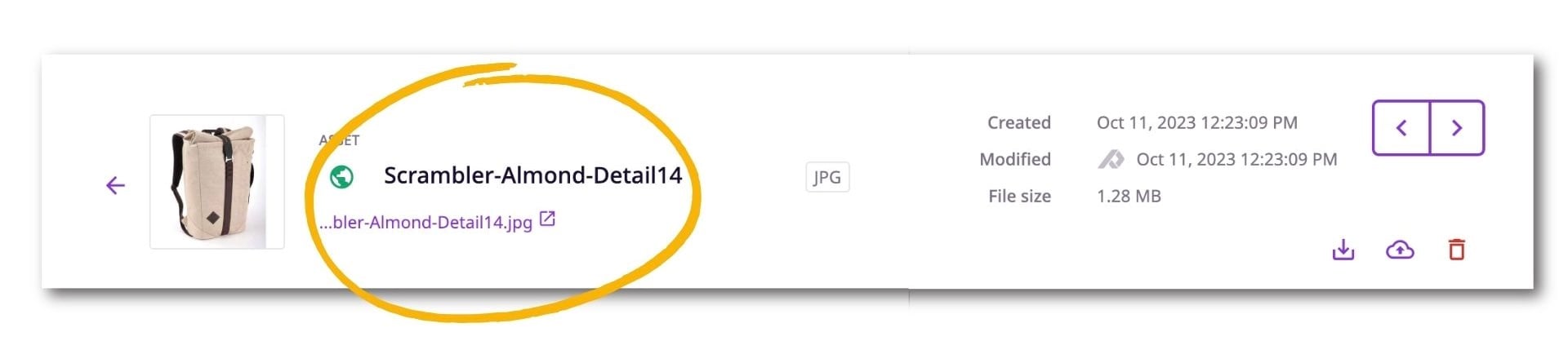 Navigating the Asset Detail Page